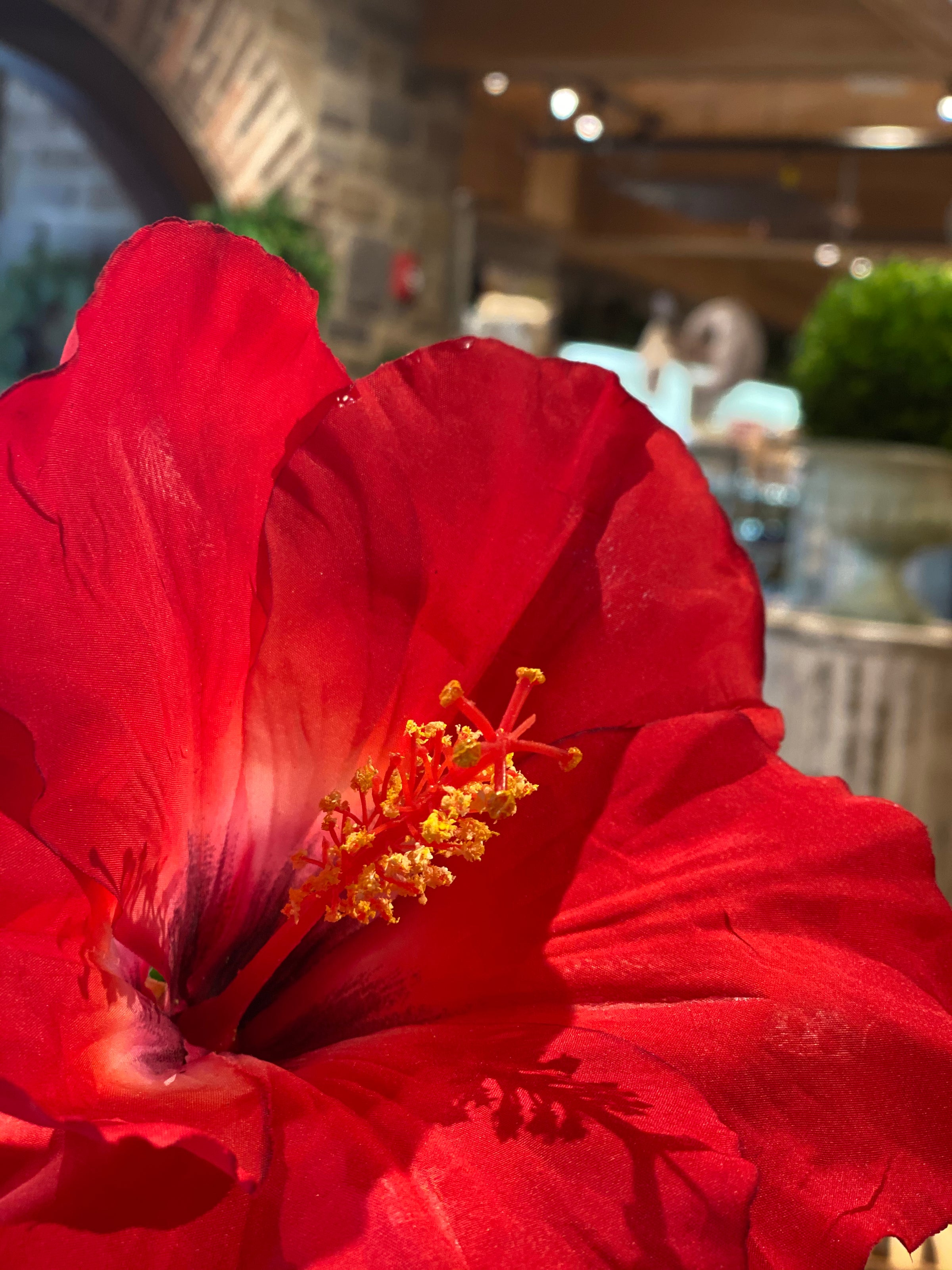 Products – Barbara King Home and Garden