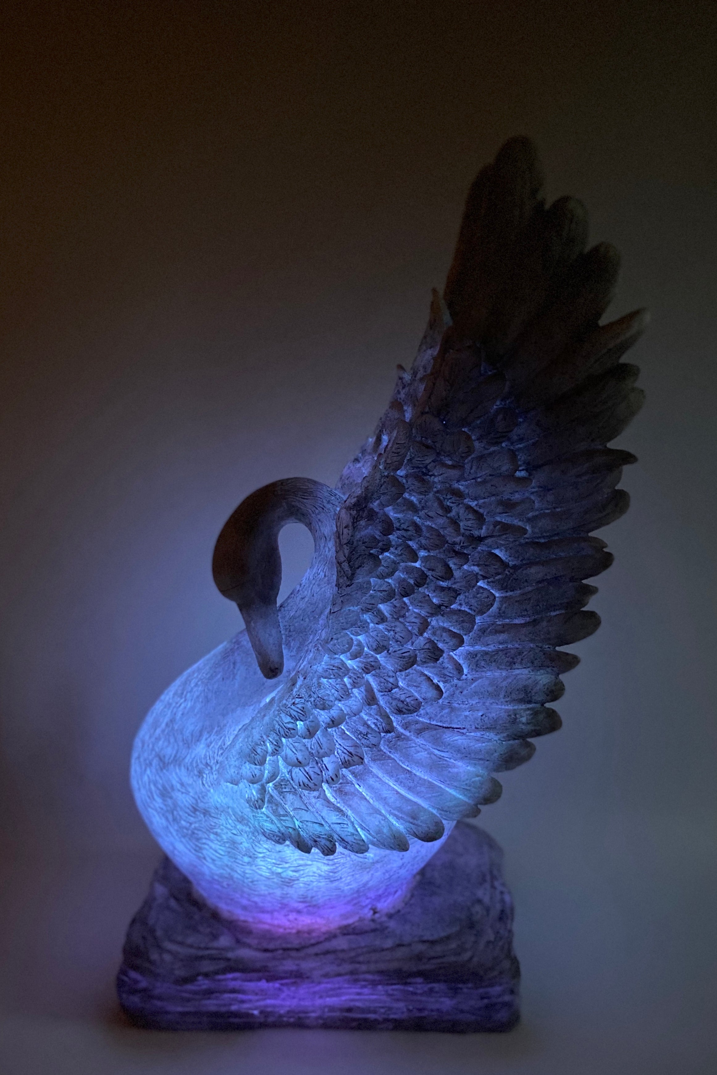 Barbara King Home and Garden