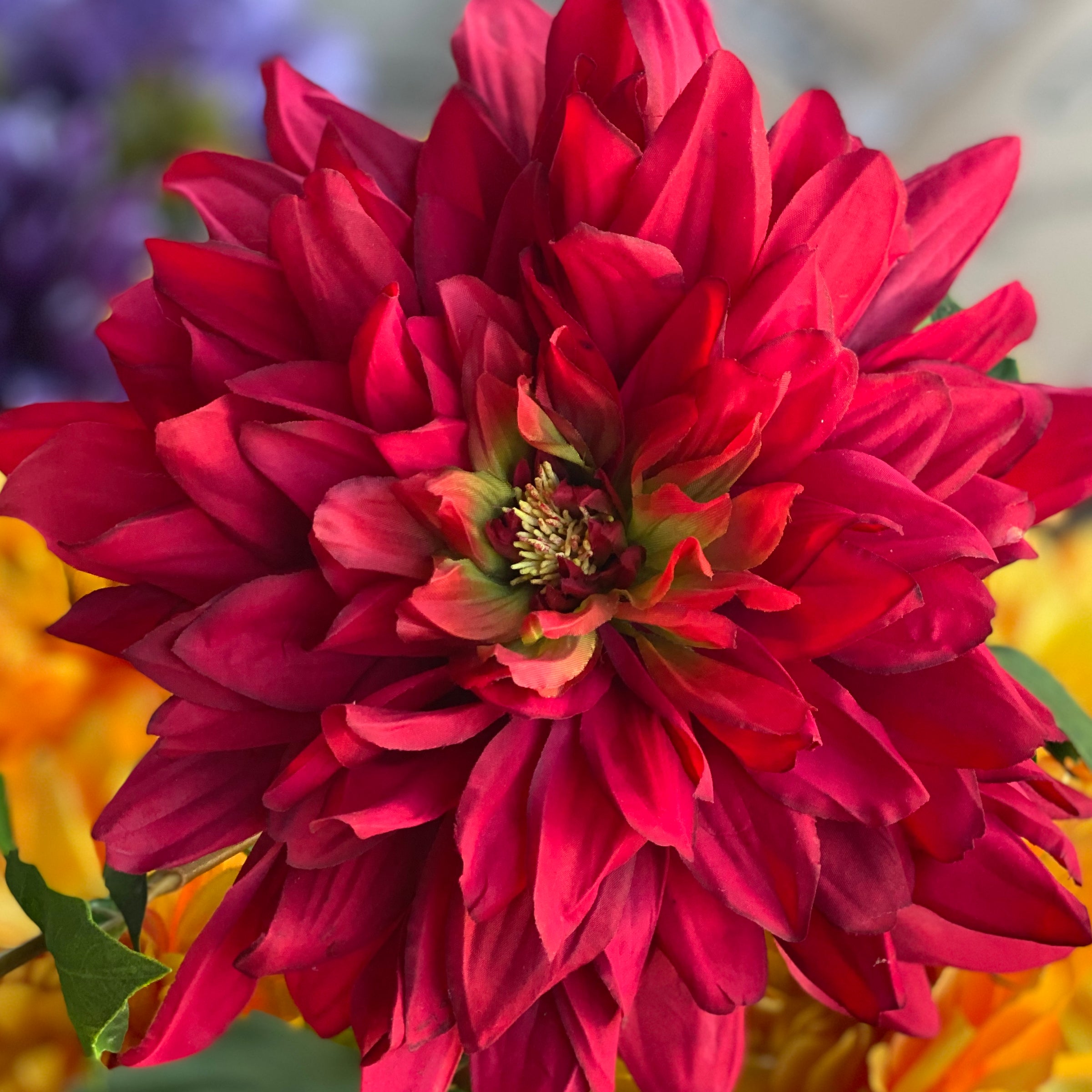 Products – Barbara King Home and Garden